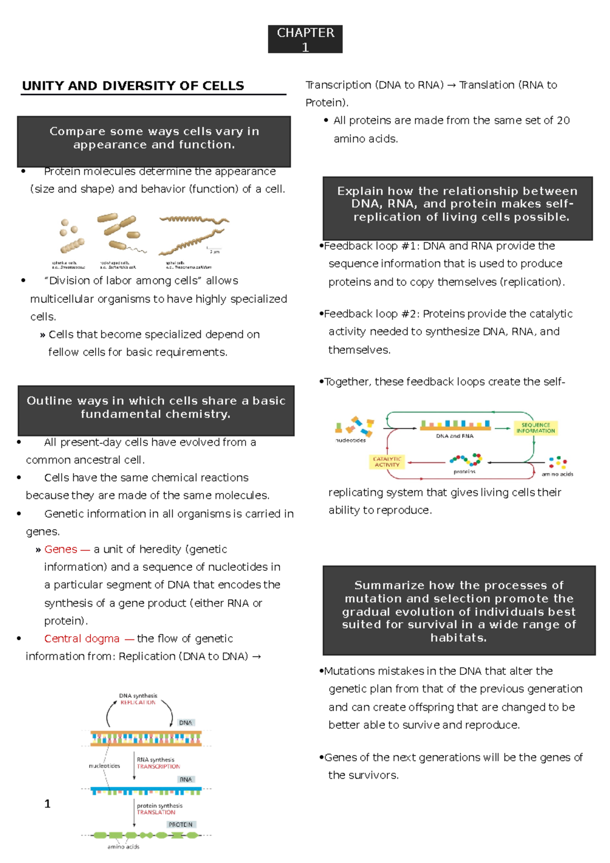 Chapter 1 - biology about cells and molecules.. biologhdubuabdcfwEDC ...