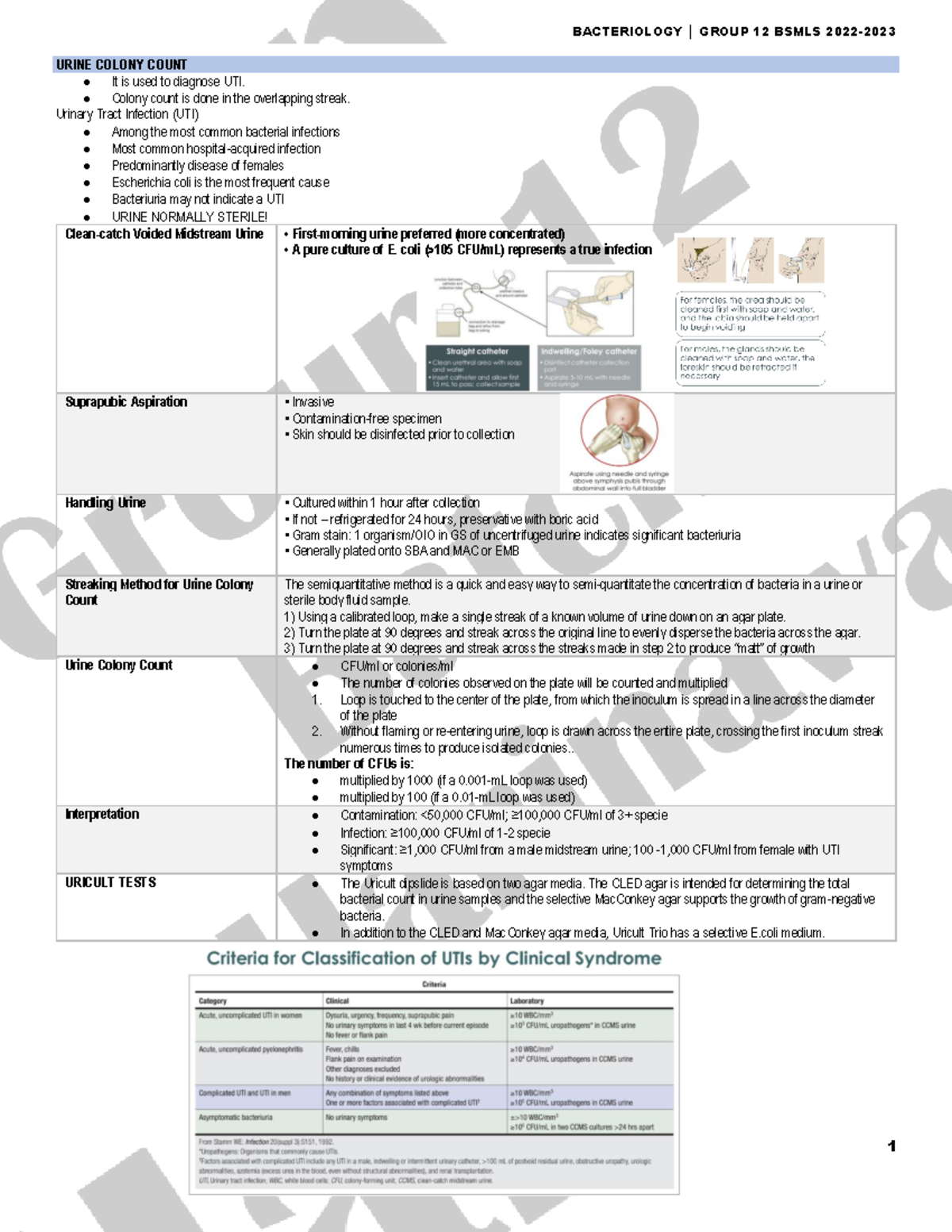 Group-12- Bacteriology - URINE COLONY COUNT It is used to diagnose UTI ...