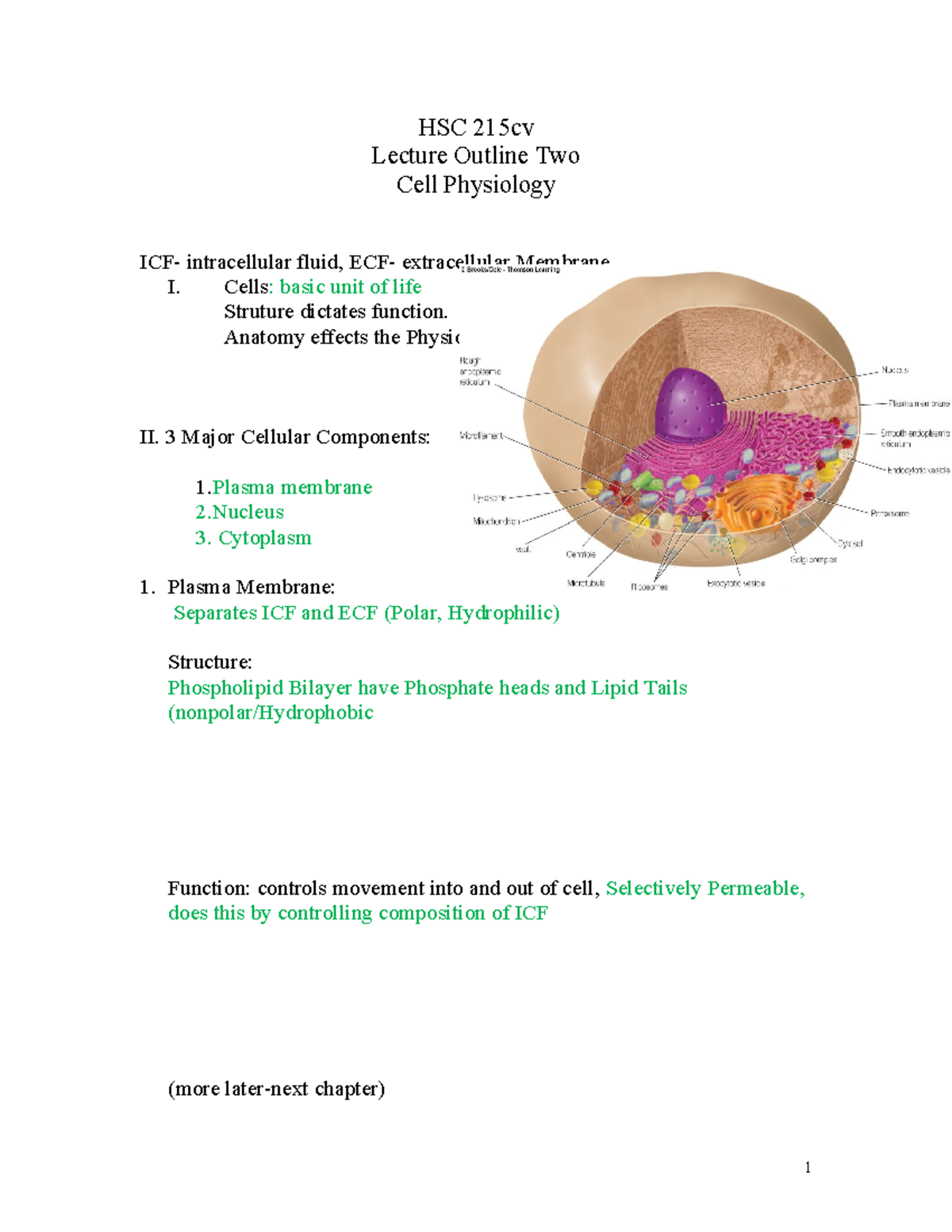 Cell Physiology outline lecture notes - HSC 215cv Lecture Outline Two ...
