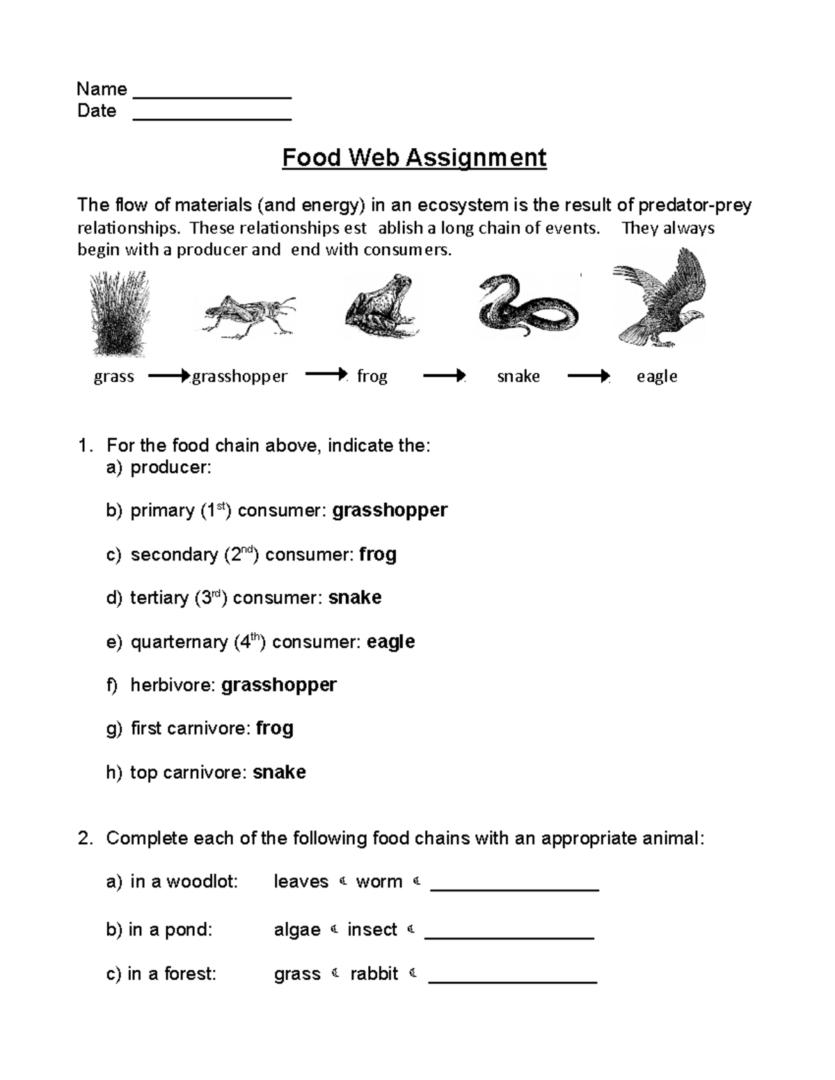 Food Web Worksheet - Name _______________ Date _______________ Food Web ...