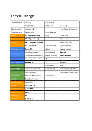 Fact sheet 1 - Femoral Triangle Greater sciatic for. Sciatic N Fasciae ...