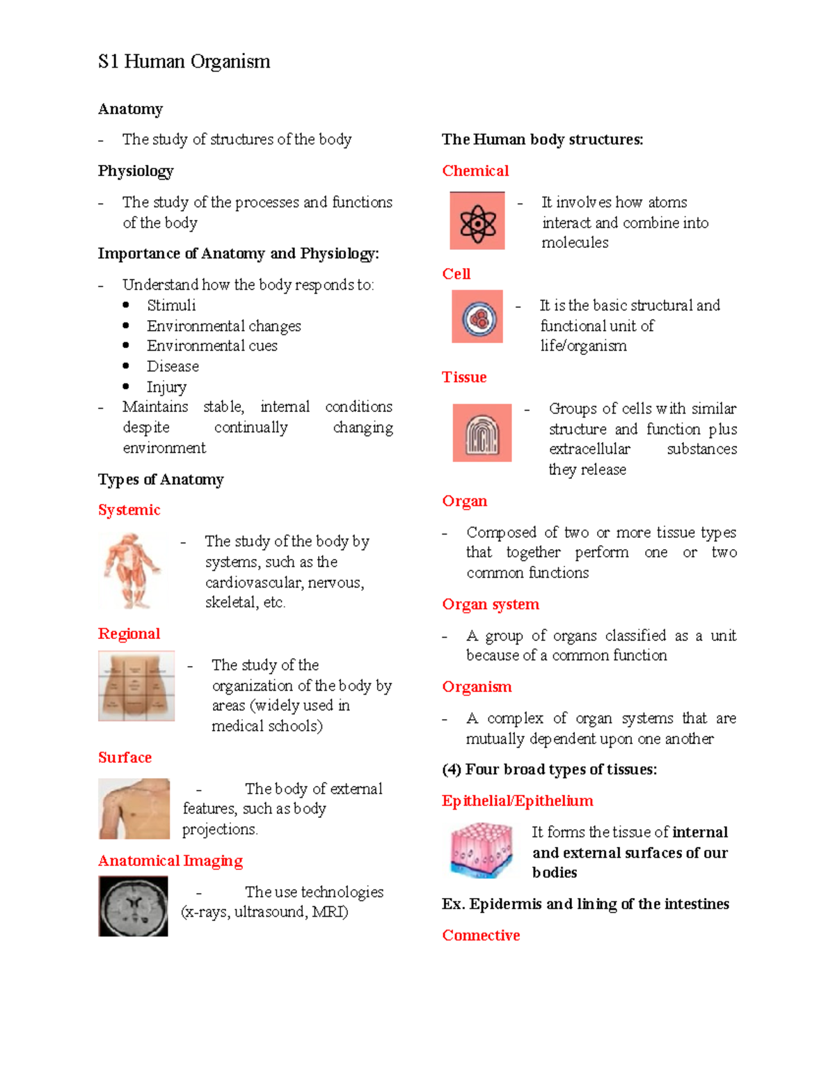 S1 Human Organism - Anatomy The study of structures of the body ...