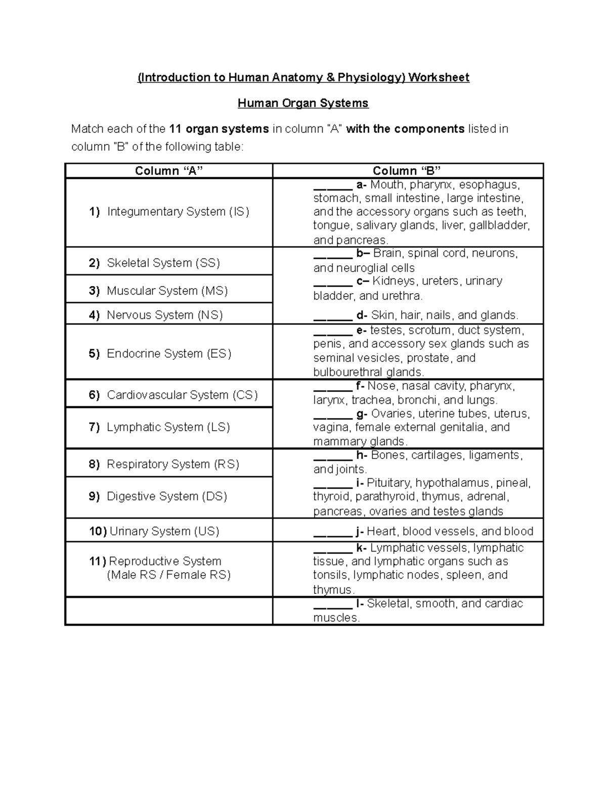 Anatomy Worksheet - (Introduction to Human Anatomy & Physiology ...
