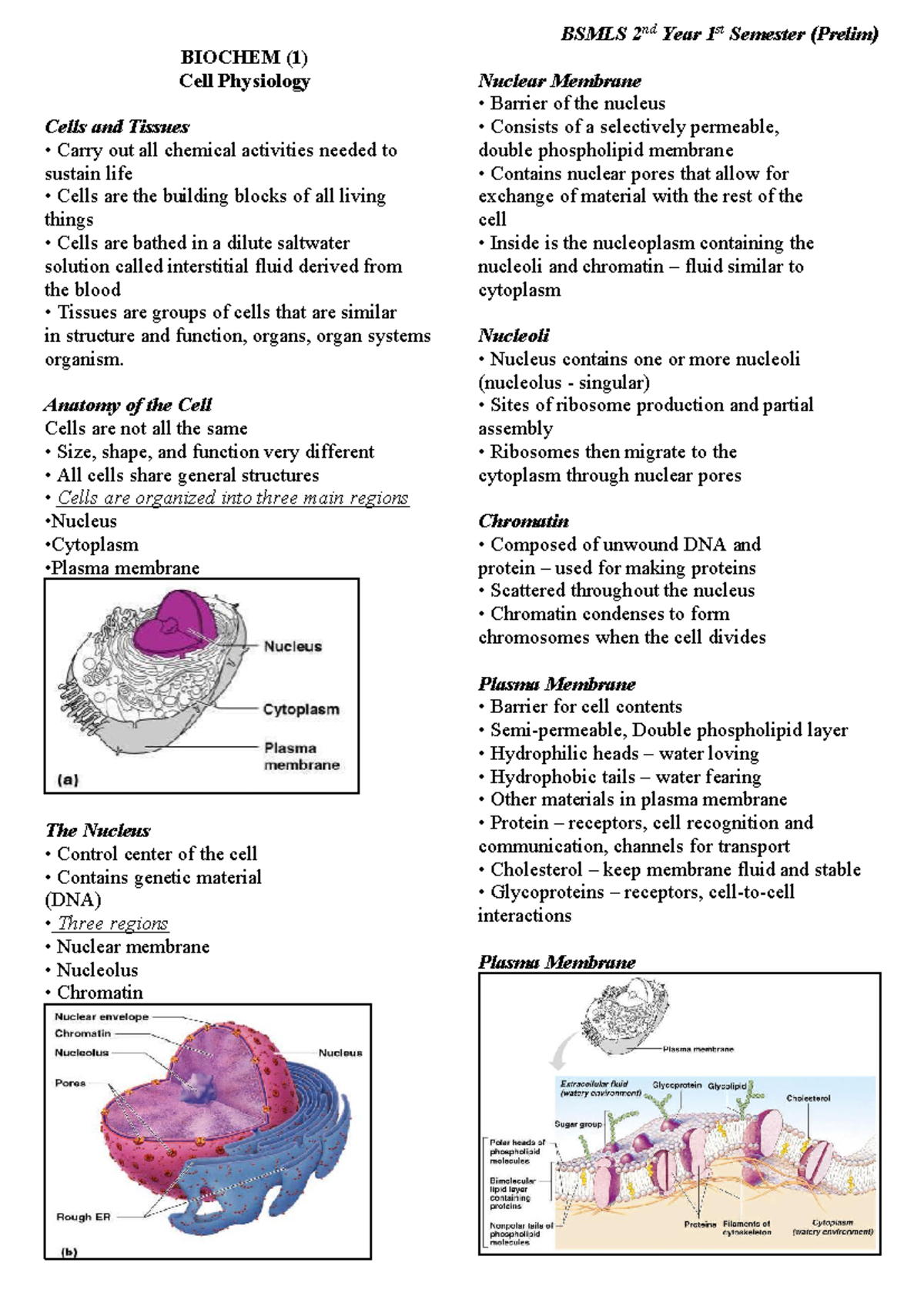 Biochem Cell Physiology - BIOCHEM (1) Cell Physiology Cells and Tissues ...