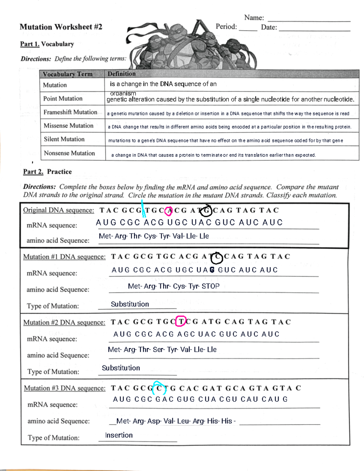 Mutation worksheet ninja turtles original - Mutation Worksheet Part 1 ...
