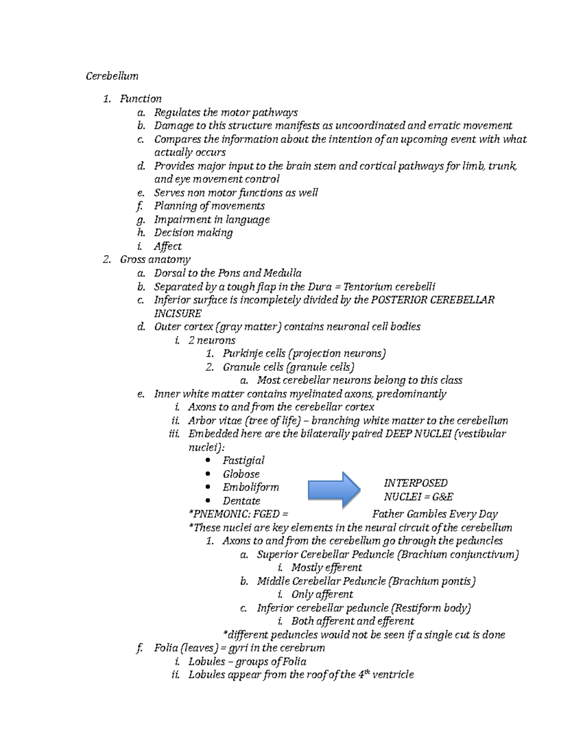 Anatomy and Physiology lecture notes -> cerebellum notes study ...