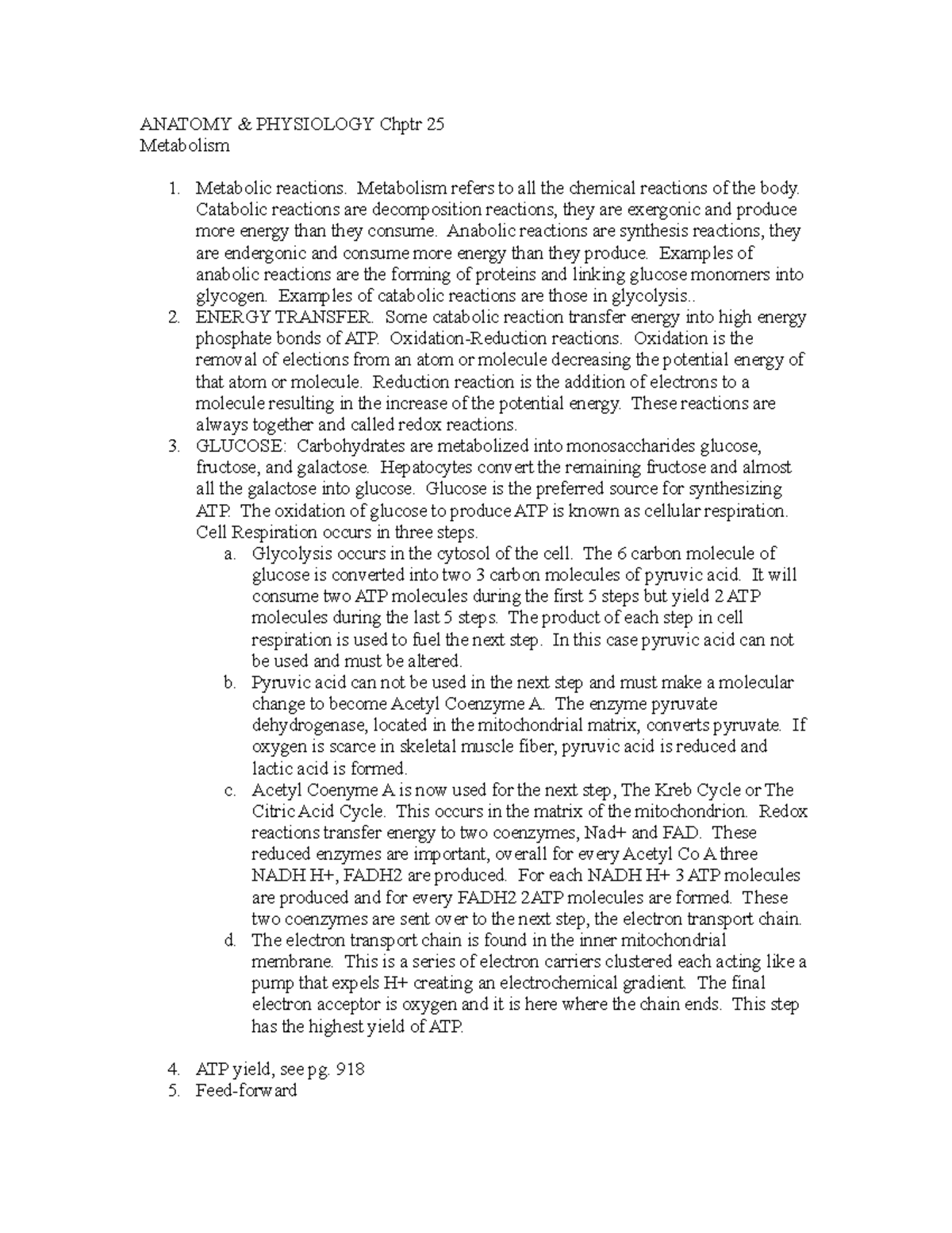 APChapter 25 metabolism - ANATOMY & PHYSIOLOGY Chptr 25 Metabolism 1 ...