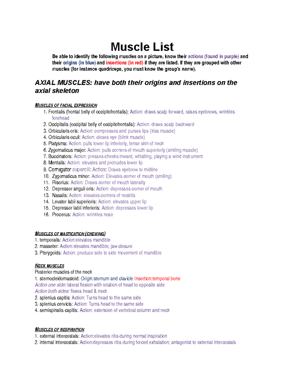 Human muscle list - Muscle List Be able to identify the following ...