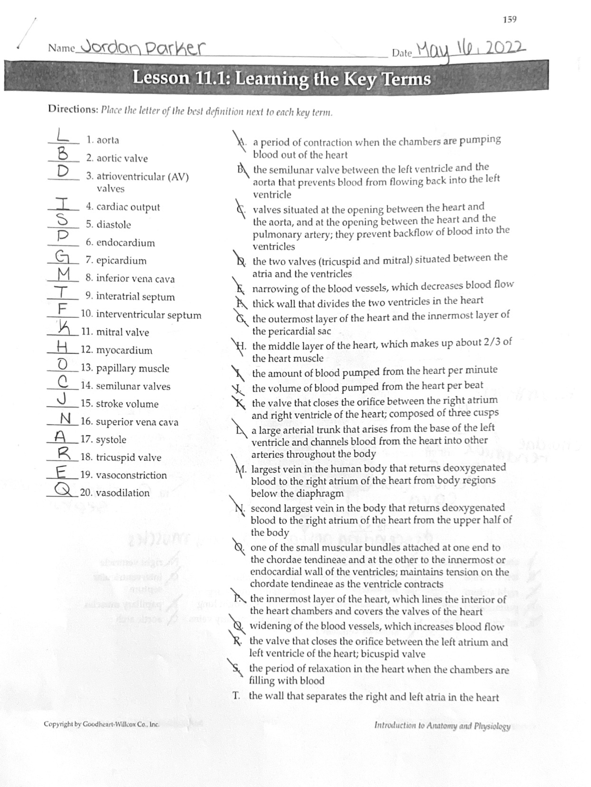 Lesson 11.1-11.3: Heart - BIO 2053 - Studocu