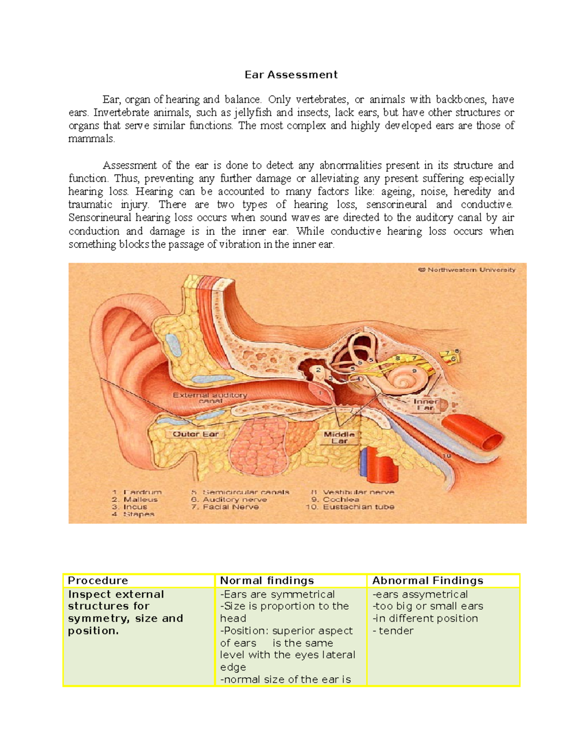 Assessment of ear - Ear Assessment Ear, organ of hearing and balance ...