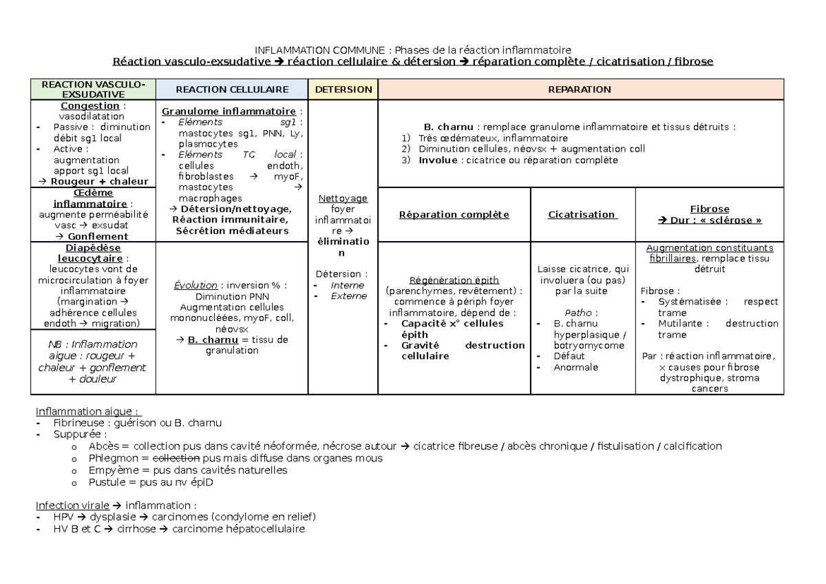 Inflammation commune : étapes - INFLAMMATION COMMUNE : Phases de la ...