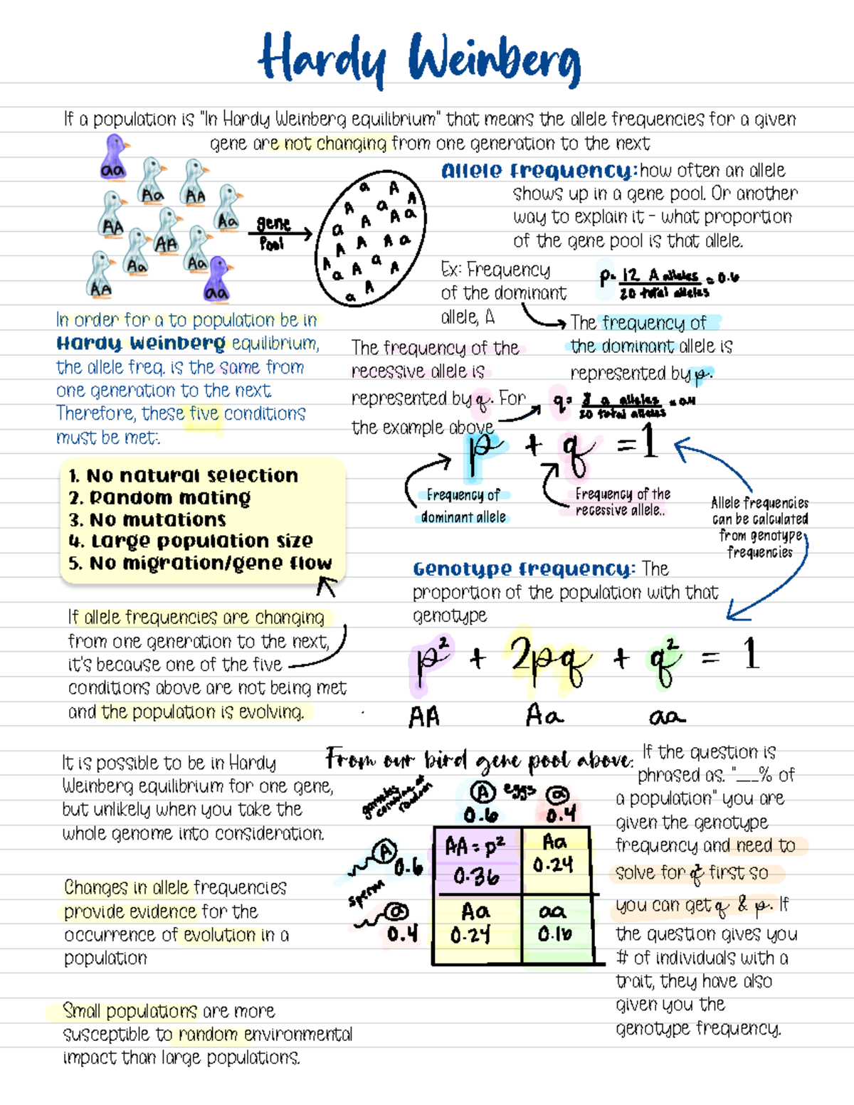 Hardy Weinberg - These are class notes taken from Arlene Osorio's ...