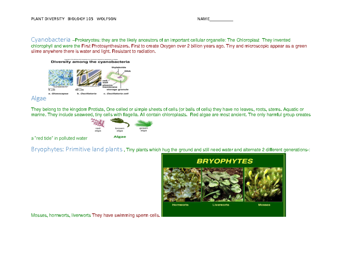 Plant diversity guide - notes - PLANT DIVERSITY BIOLOGY 105 WOLFSON ...