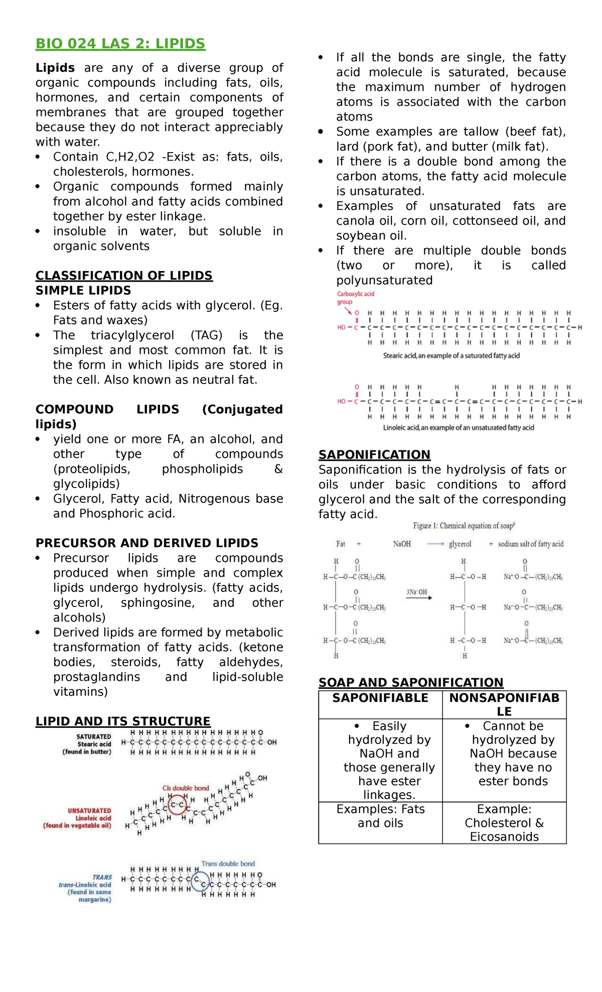 BIO 024 LAS 1 & 2 - Carbohydrates & Lipids - BIO 024 LAS 2: LIPIDS ...