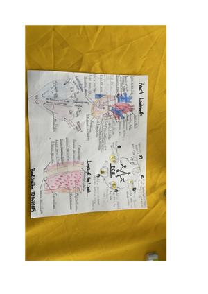 Lab 4 - pratice - PHED 1206 (2021) ANATOMY 1 LAB MODULE 4PART F ...