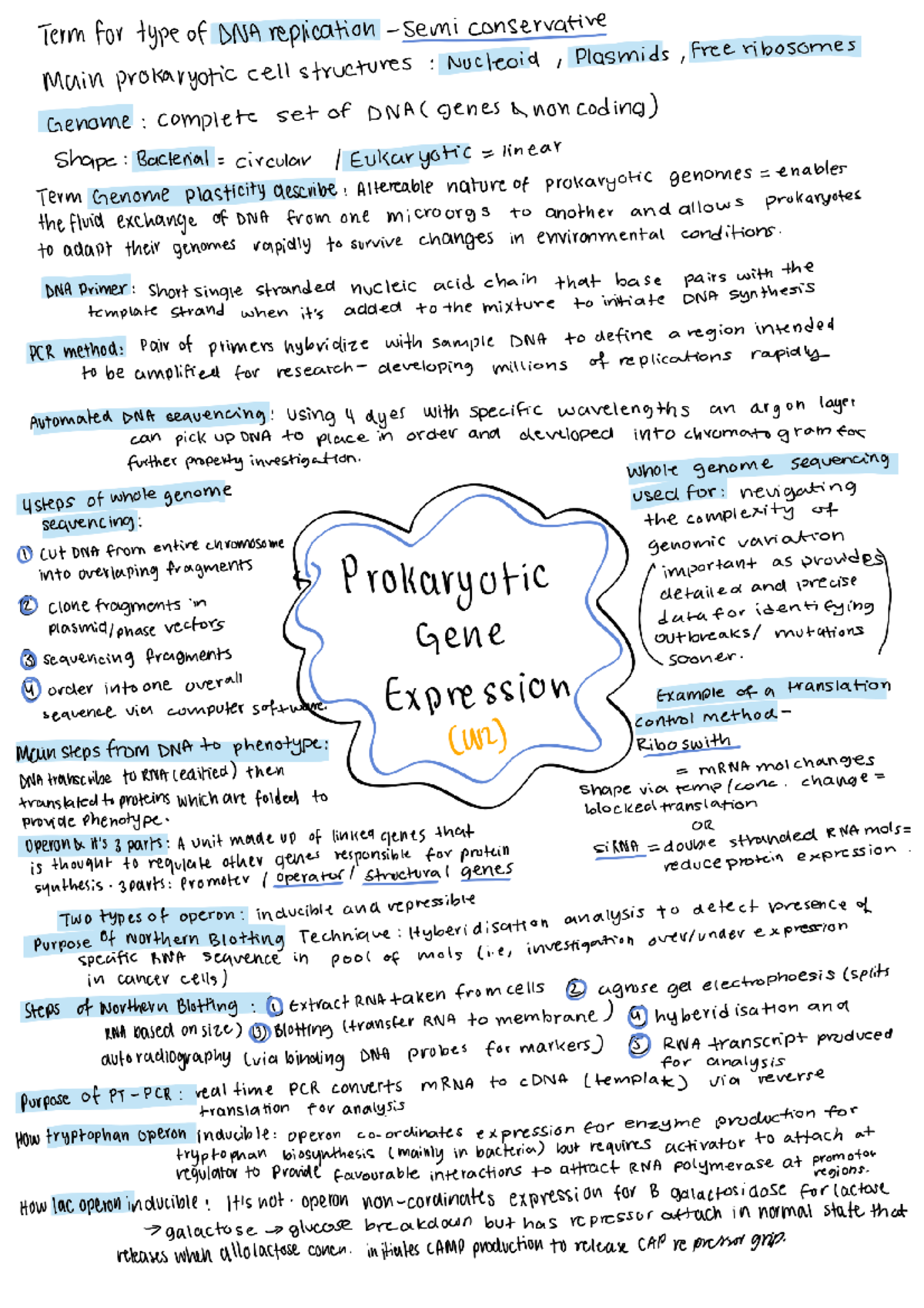 Prokaryotic Gene Expression - 6H5Z1036 - Studocu