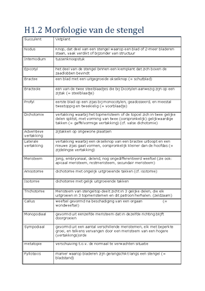 Monoctyl vs dicotyl - MONOCOTYL VS DICOTYL VERSCHIL BLOEM Monocotyl ...