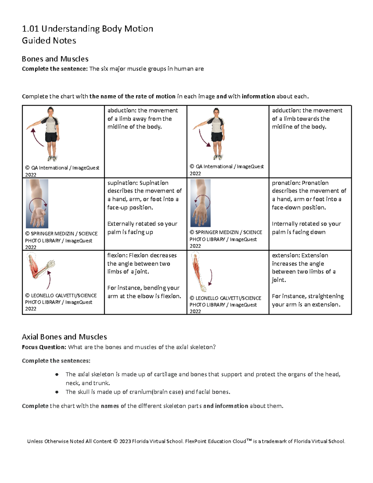 Anatomy Module 1 Notes - 1 Understanding Body Motion Guided Notes Bones ...