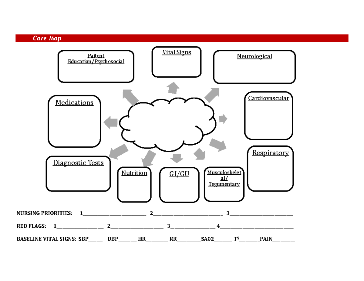 Care map1 - Care map - Care Map NURSING PRIORITIES: 1 ...