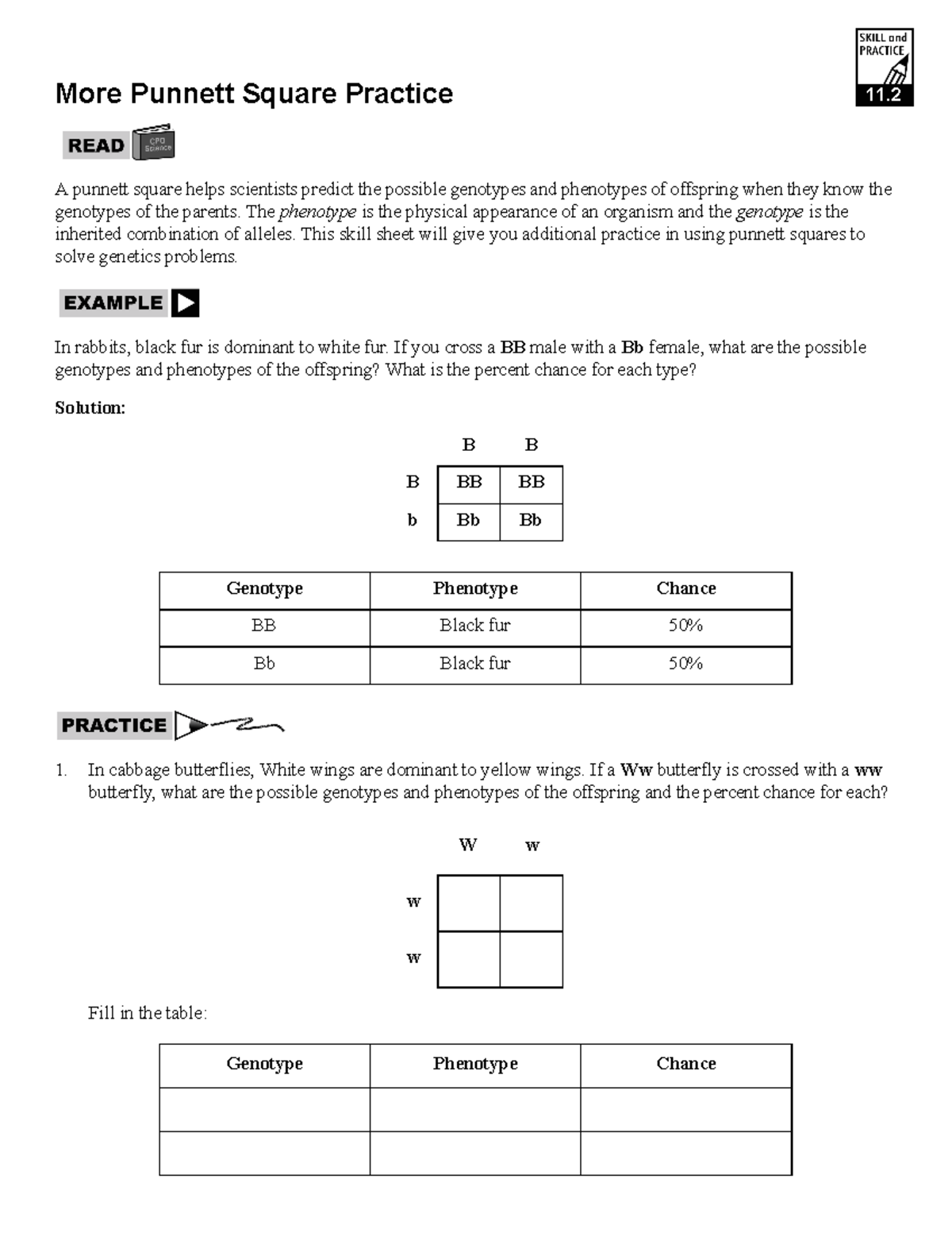 Punnet Square Practice - A punnett square helps scientists predict the ...