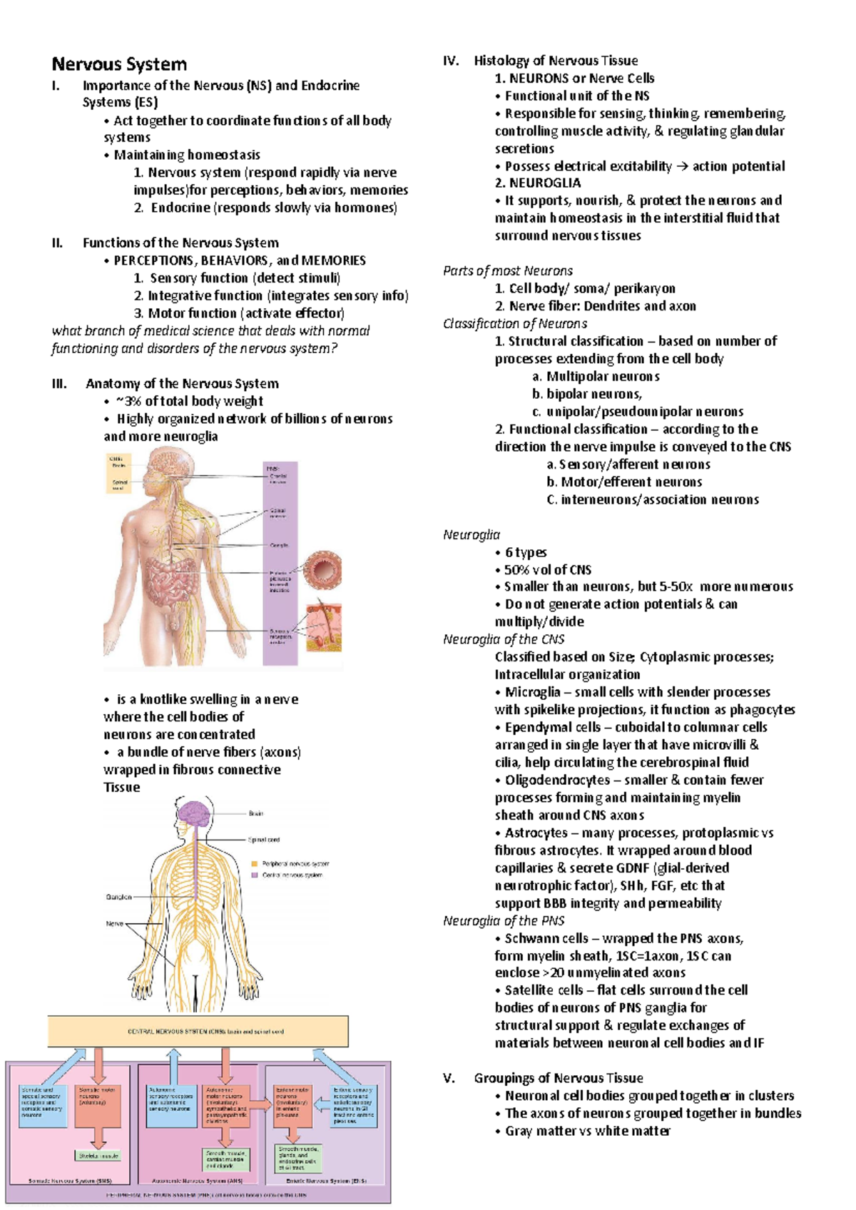 Nervous System Reviewer - Nervous System I. Importance of the Nervous ...