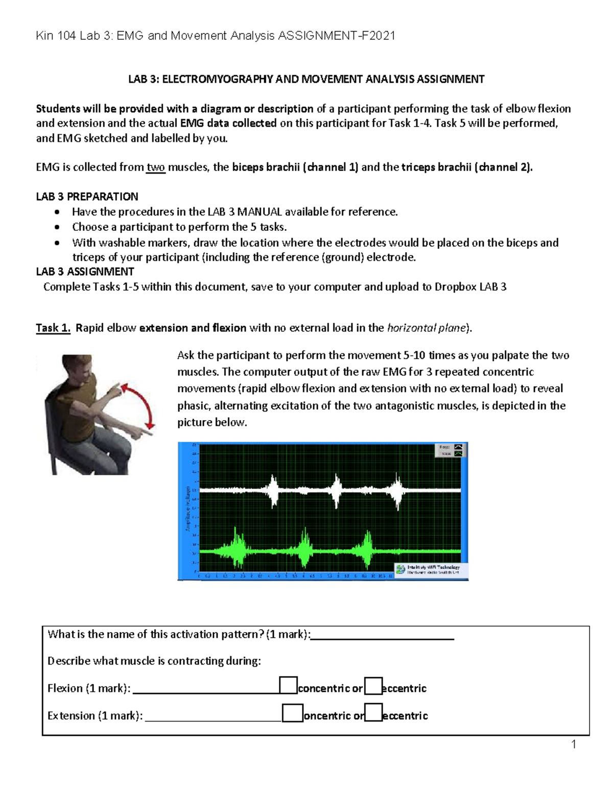 LAB 3-EMG & Observational Movement Assignment-F2021-fillable - Kin 104L ...