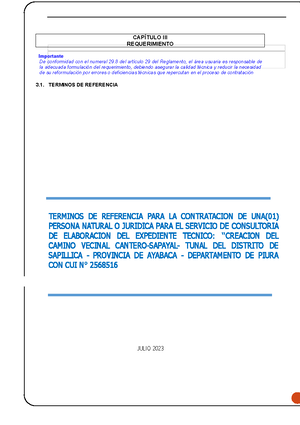 Formulación-Y- Evaluación-DE- Proyectos-DE- Inversión- Privada - FORMULACI”N Y EVALUACI”N DE ...