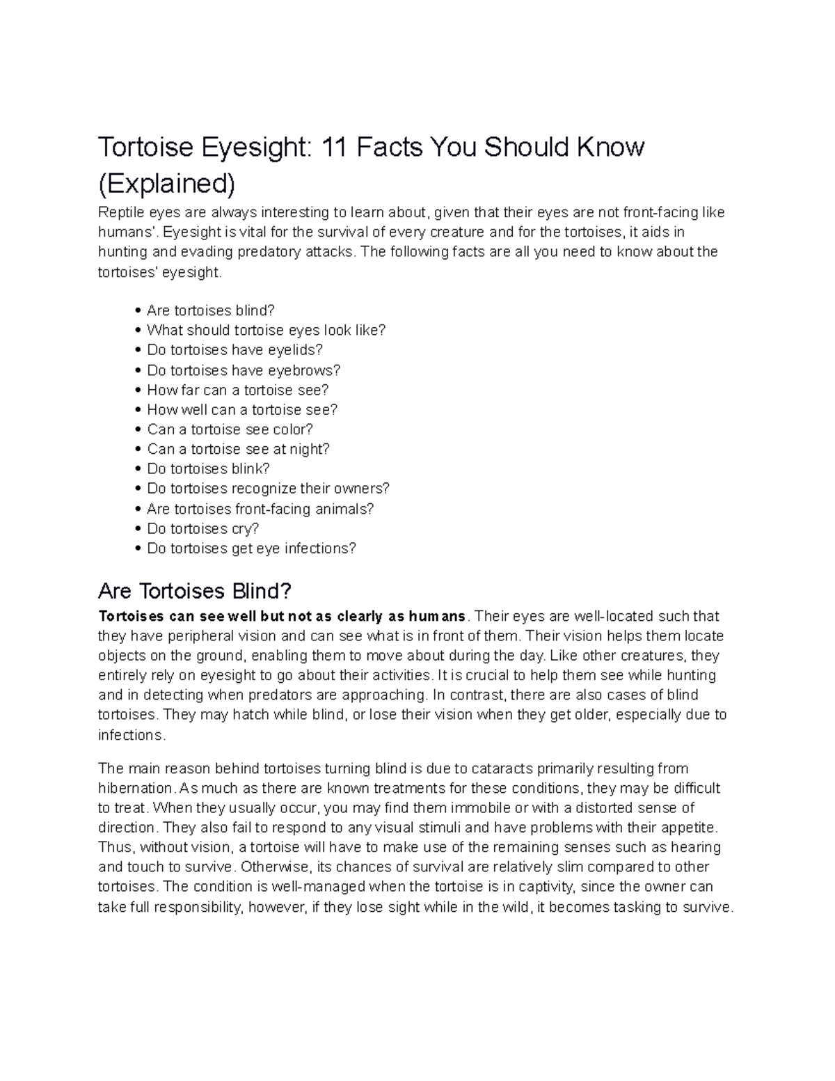 Tortoise Eyesight - it is an essay - Tortoise Eyesight: 11 Facts You ...