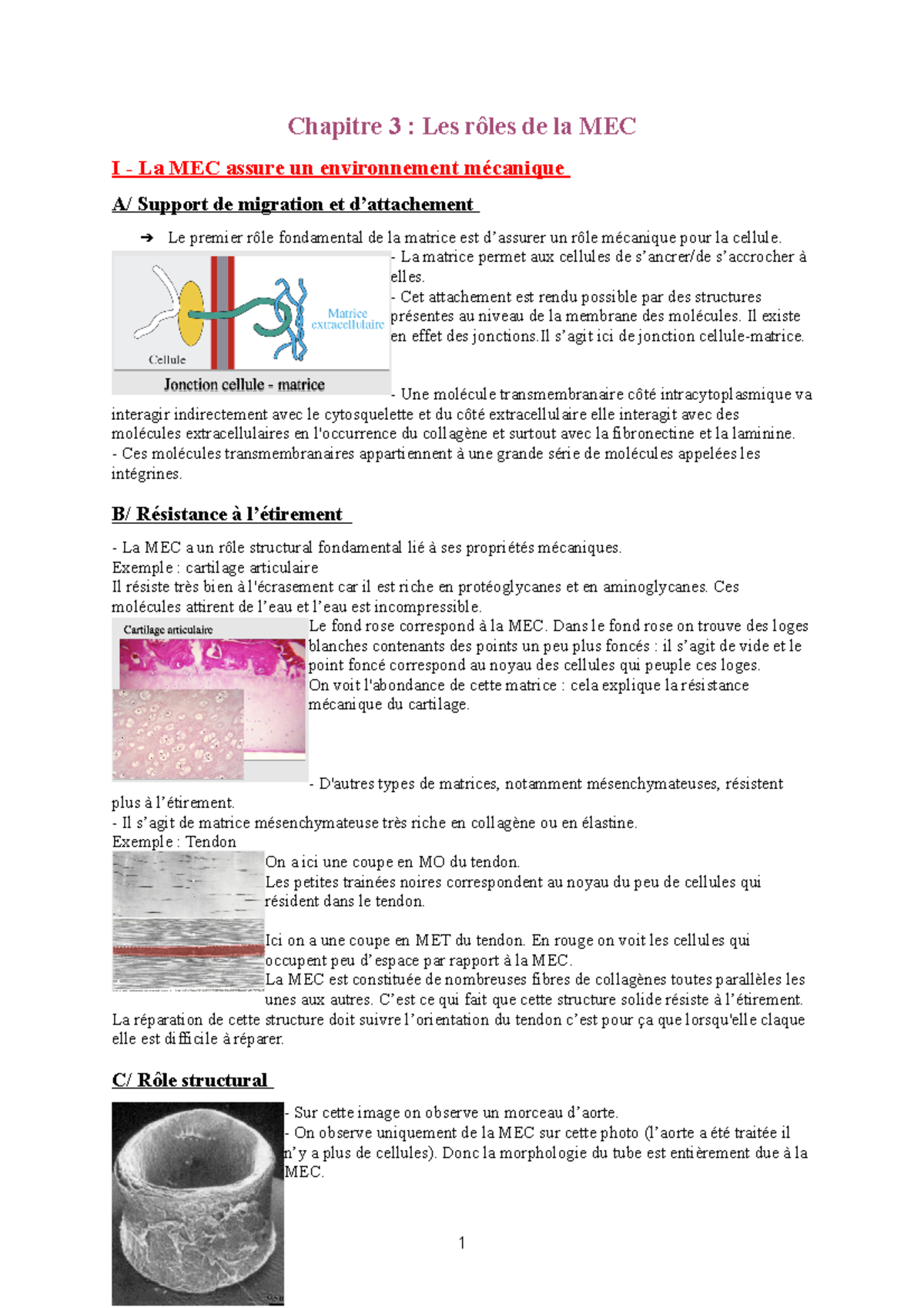 Chapitre 3 Les rôles de la MEC - Chapitre 3 : Les rôles de la MEC I ...