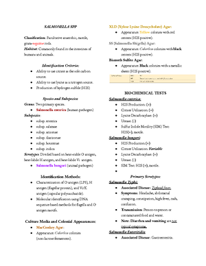 Histo 1 - HISTOPATH Histopath reports are provided with 3 copies (MD,Px ...