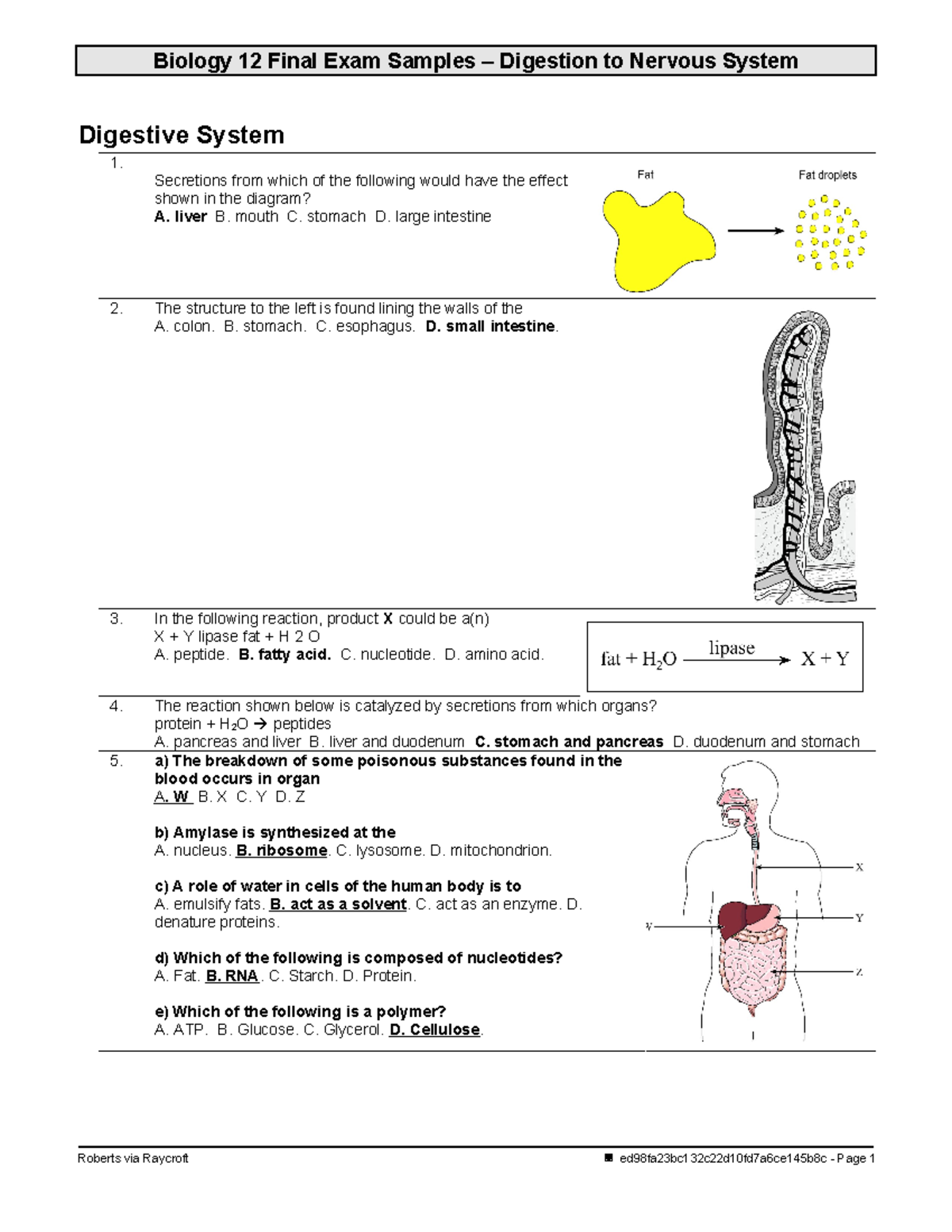 Biology 12 - summative review - 2017 - Biology 12 Final Exam Samples ...