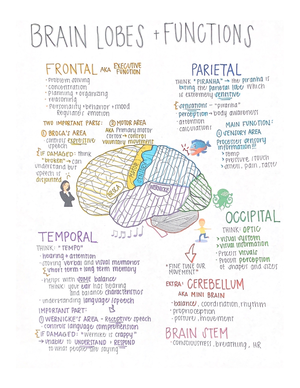 SBAR-Fullsize-Nursing-Report-Sheet Post OP Assessment - Post-Operative ...