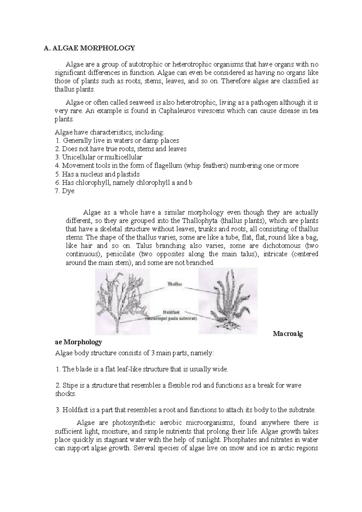 Algaea B Iology 003 - A. ALGAE MORPHOLOGY Algae are a group of ...