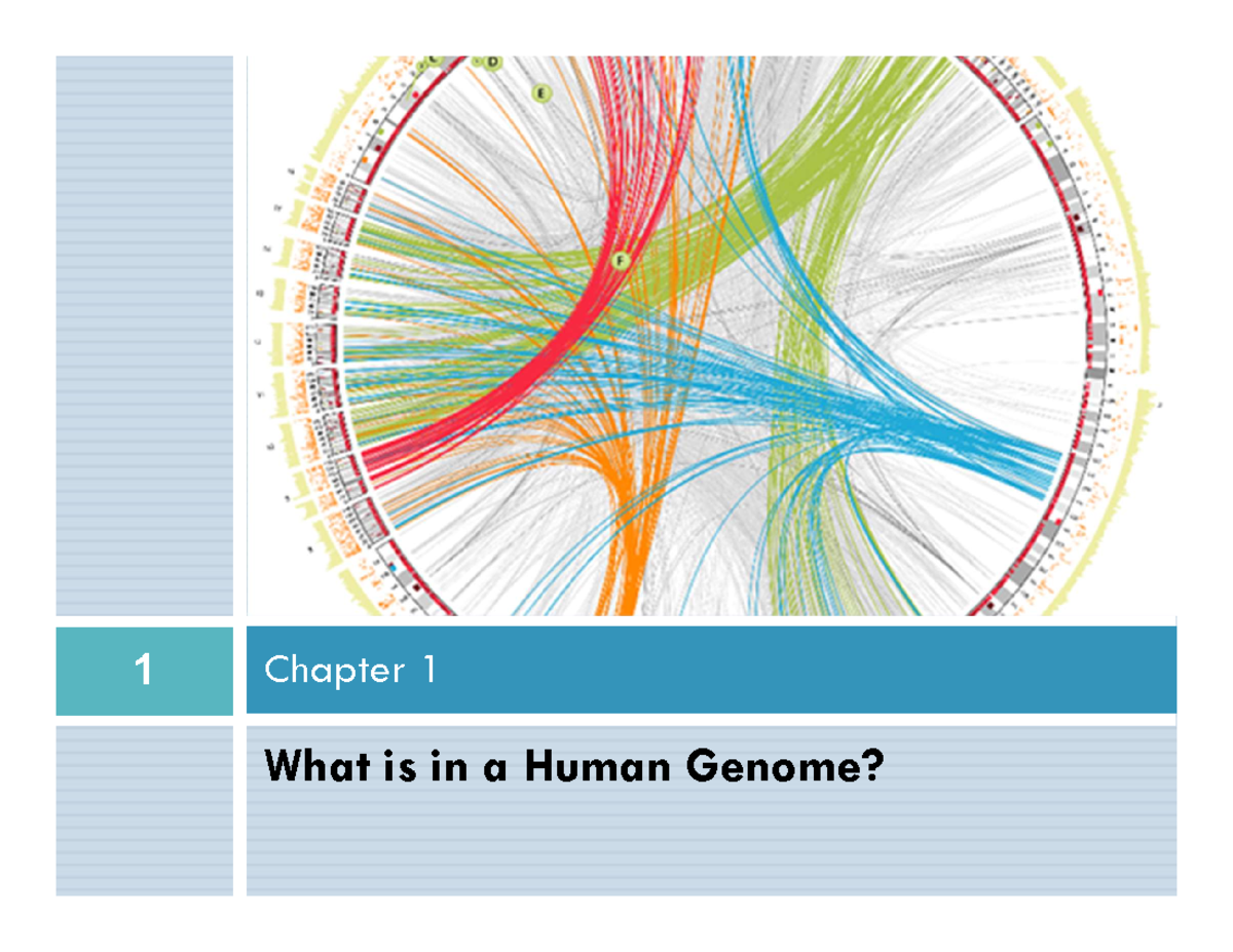 385016 - guide - What is in a Human Genome? 1 Chapter 1 Learning ...