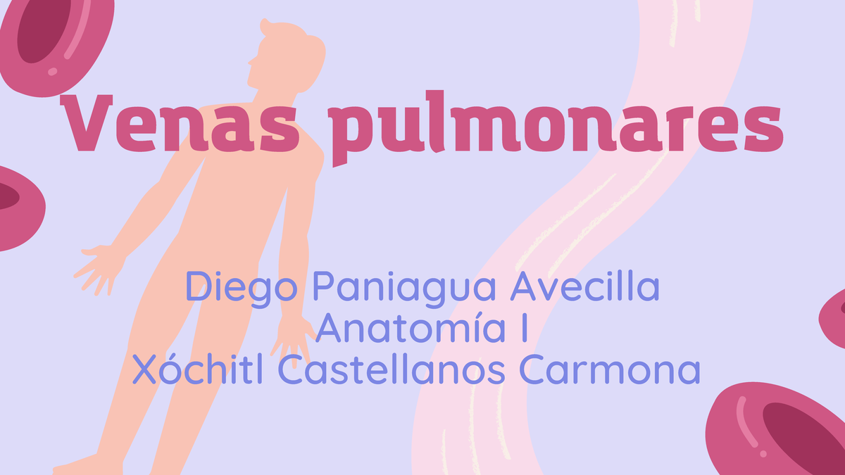 Venas pulmonares - Venas pulmonares Diego Paniagua Avecilla Anatomía I ...