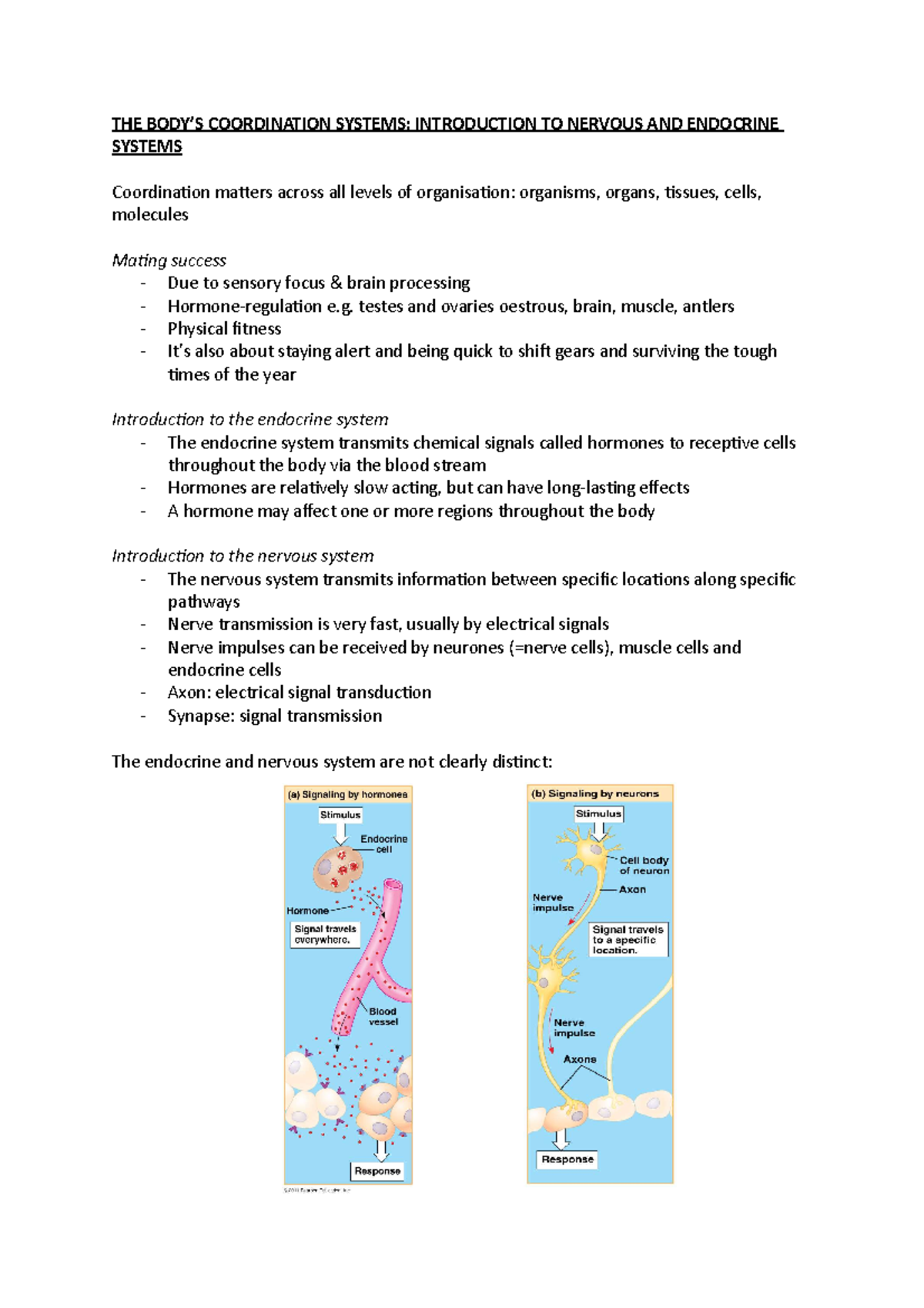 Introduction to Coordination Systems: Nervous and Endocrine Systems ...