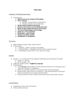 Life Science Notes 12 Part 1 Phylum Chordata - PHYLUM ECHINODERMATA ...