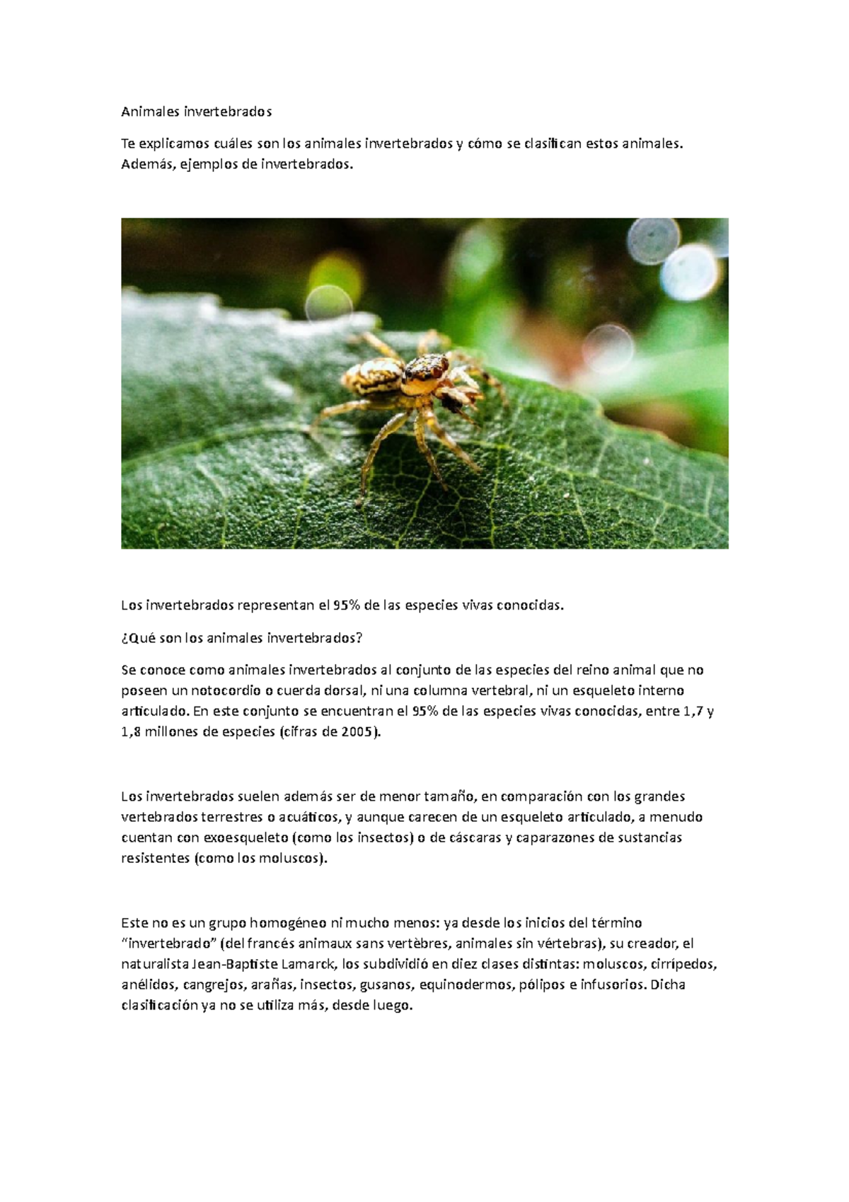 Animales invertebrados - Además, ejemplos de invertebrados. Los ...