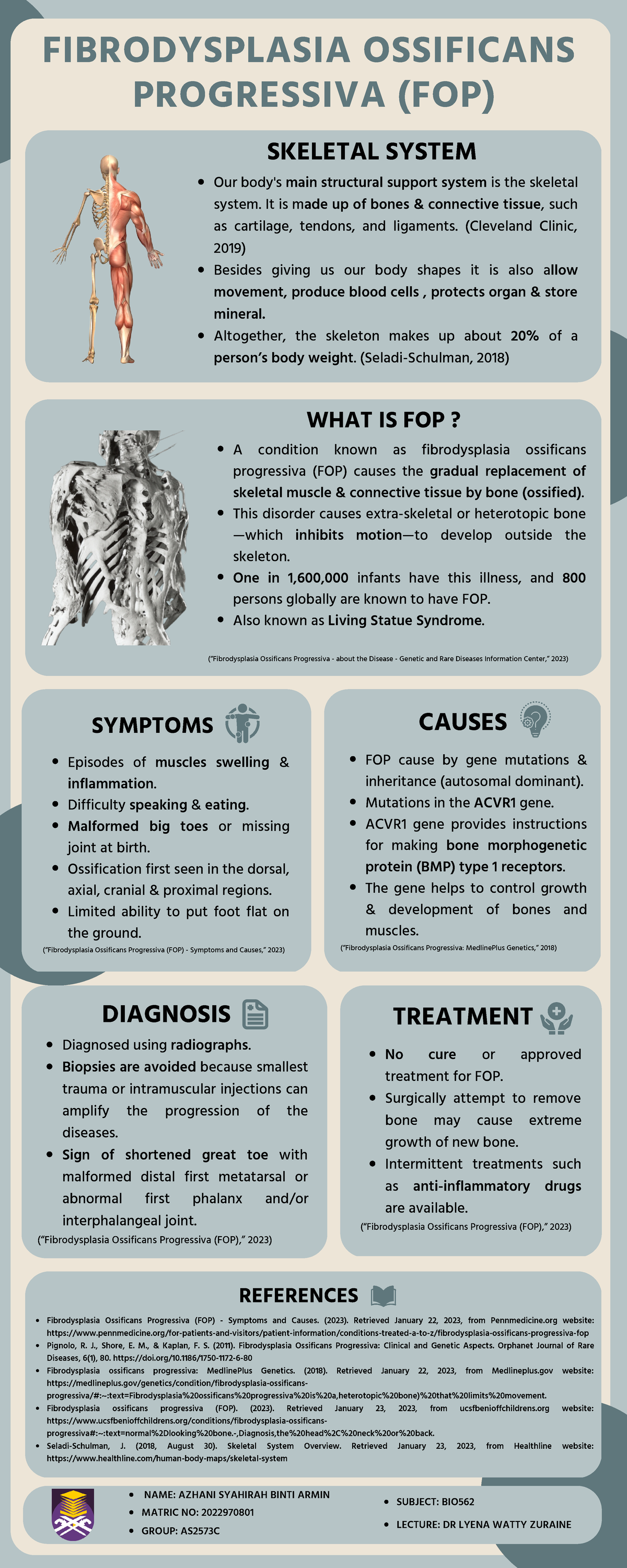 Human Biology Assignment - FIBRODYSPLASIA OSSIFICANS PROGRESSIVA (FOP ...