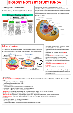 Biology class 12 Investigatory Project-Types of Cancer - NATHELLA ...