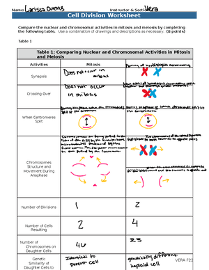 Cell Division Worksheet - Draw or write your answers. If the activity ...