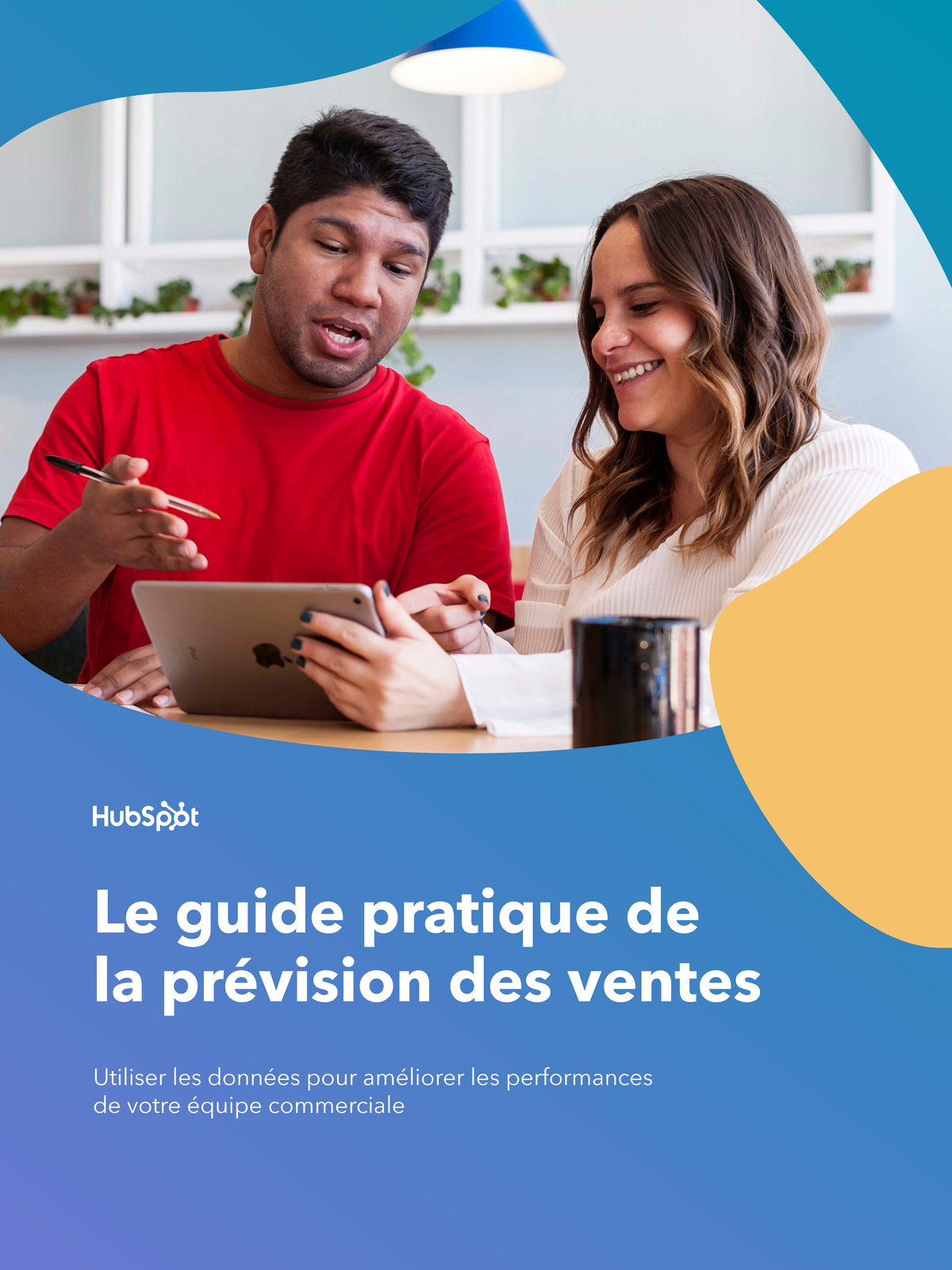 Créer une prévision commercial - Le guide pratique de la prévision des ...
