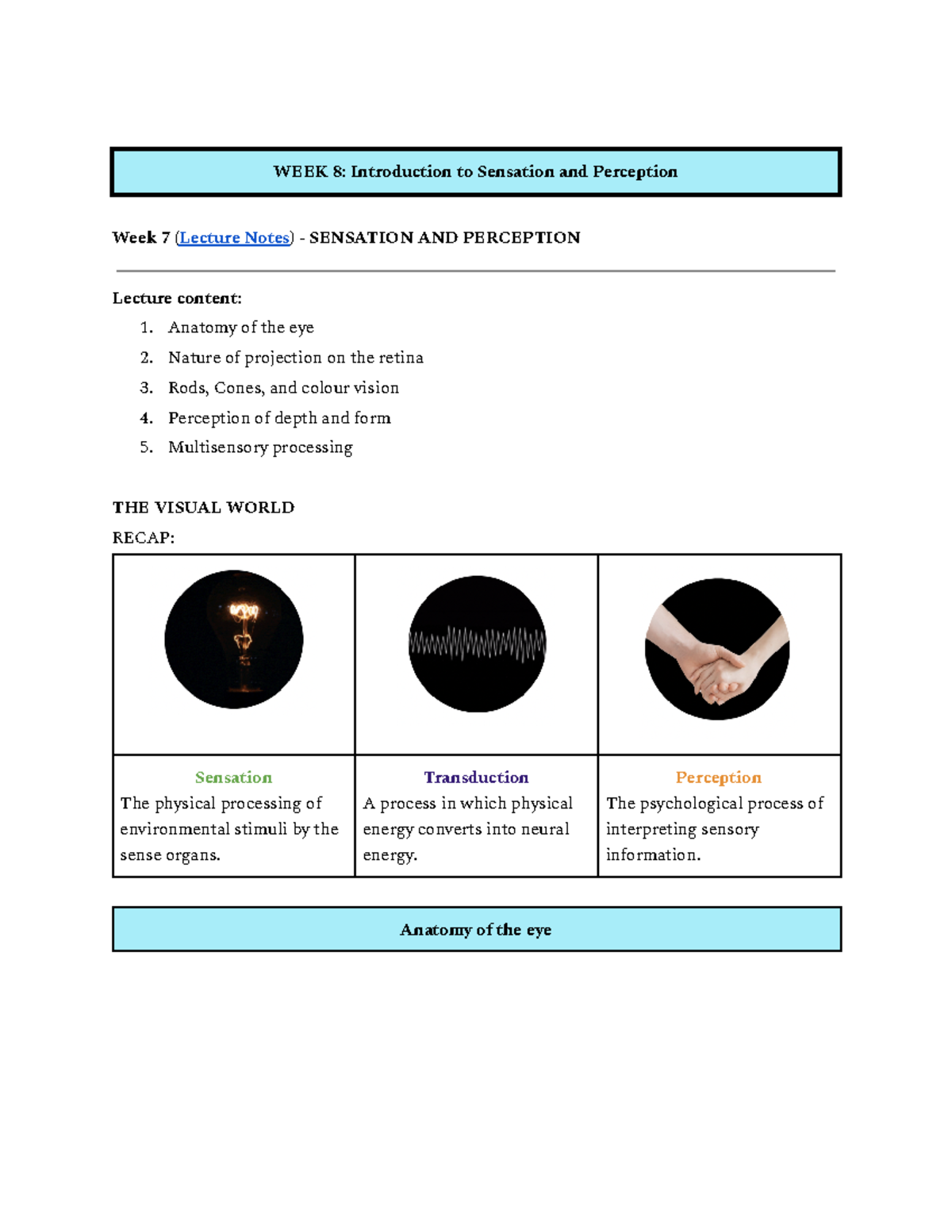 Week 8 - Lecture, Reading etc notes - WEEK 8: Introduction to Sensation ...