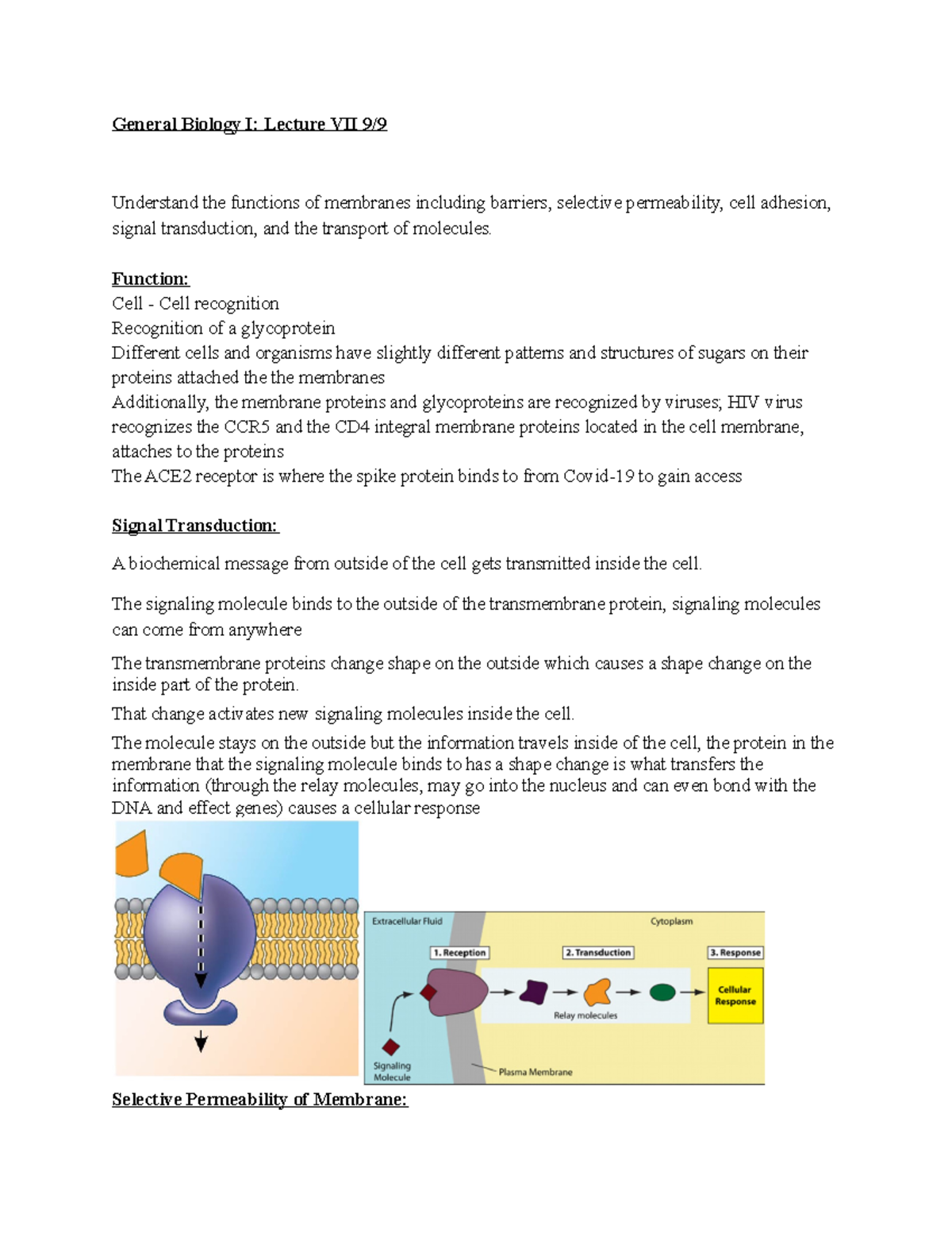 Lecture 9 9 - General Biology I - General Biology I: Lecture VII 9 ...