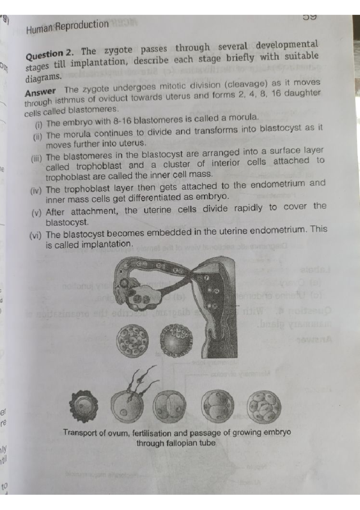Attachments students (10) - Plus two science - Studocu