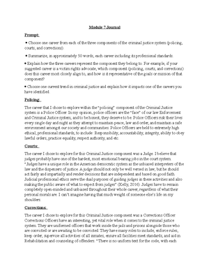 CJ 112 Project Two Template - How the Criminal Justice System Works in ...