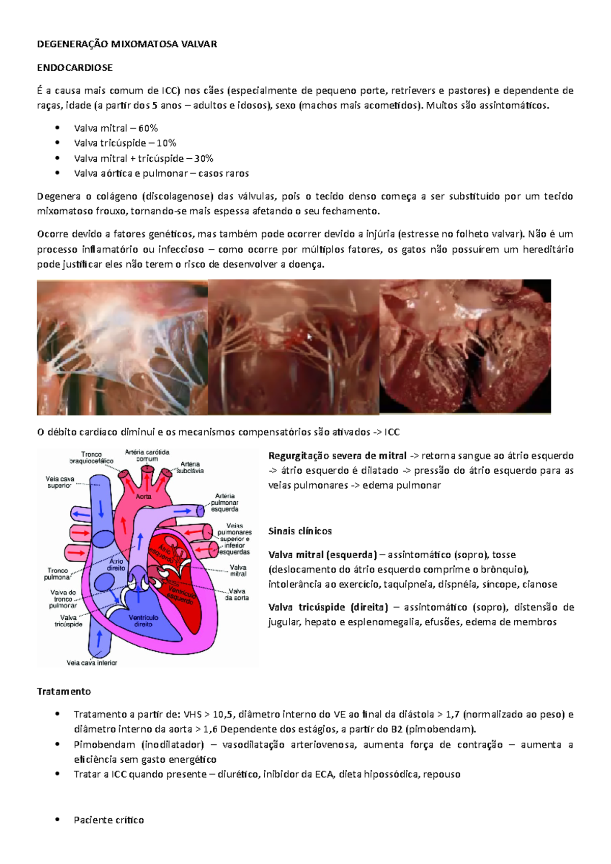 Endocardiose de Válvula Mitral em pequenos animais - DEGENERAÇÃO ...