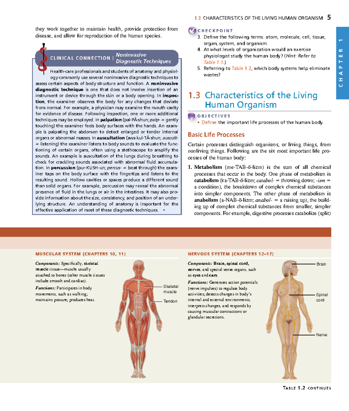 Anatomyand Physiology-13 - C H A P T E R 1 1 CHARACTERISTICS OF THE ...