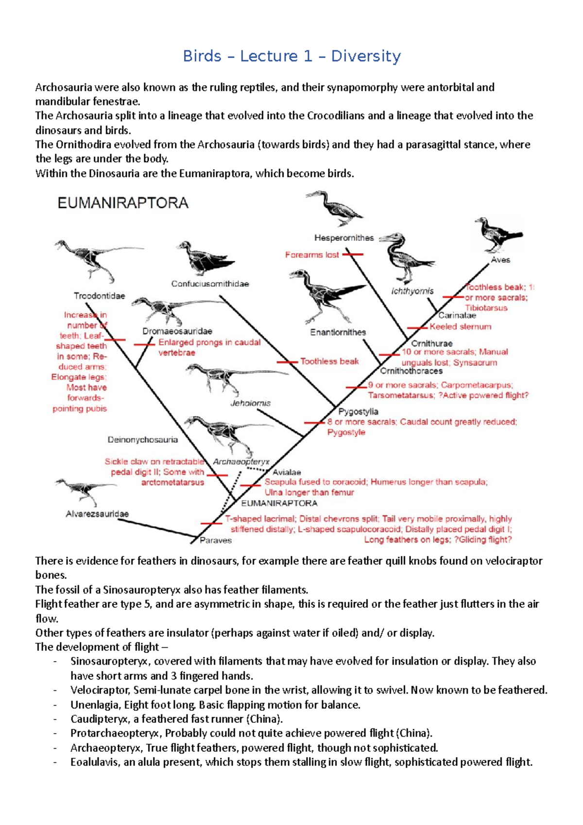 Birds: Diversity, Behaviour and Conservation Lecture 1 - Birds ...