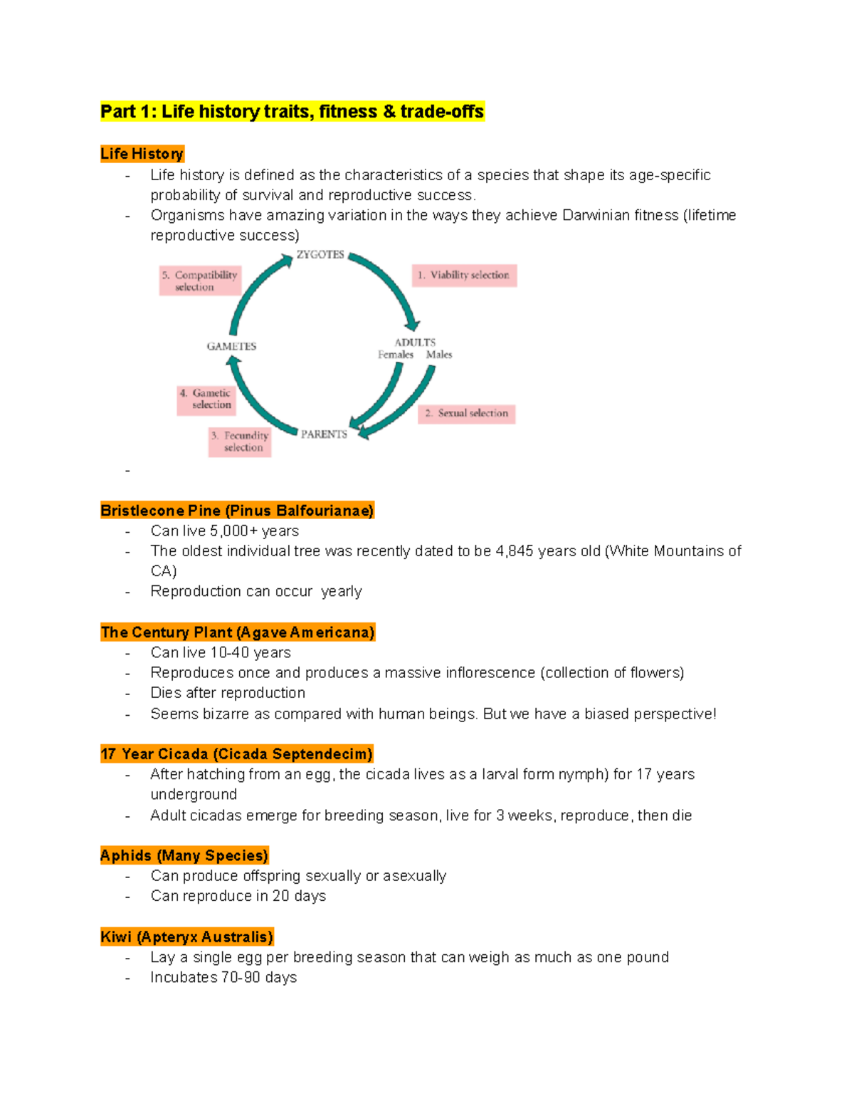 Lec. 16-17 Life History Evolution (Biol105) - BIOL 105 - UC Riverside ...